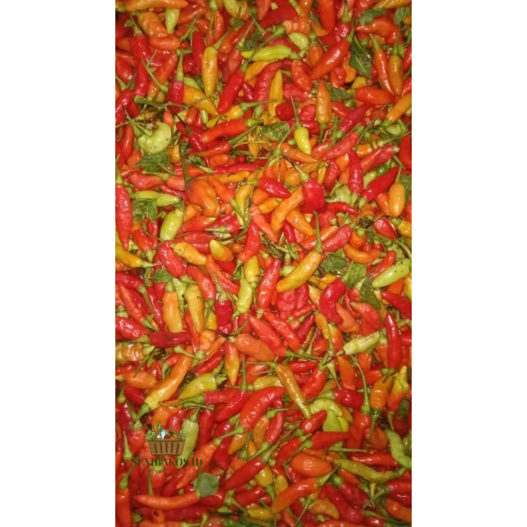 Jual INSTAN | Cabe | Cabai Tiung | Cabai tiung pedas | Cabe Tiung Fresh ...
