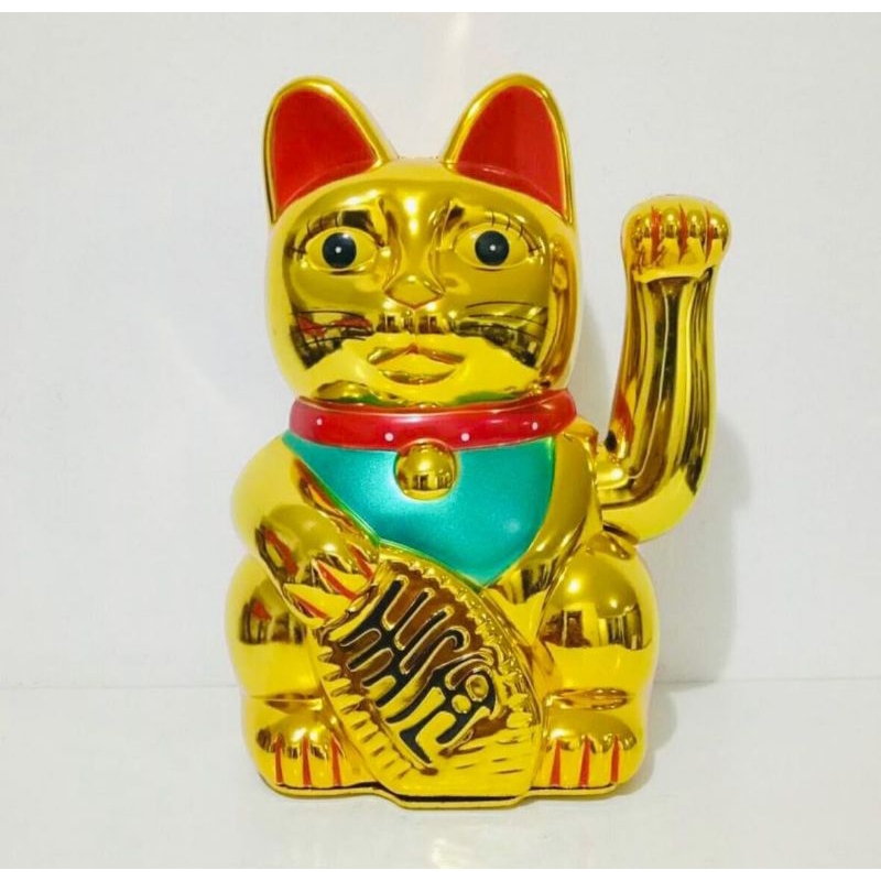 Jual Kucing Hoki | Shopee Indonesia