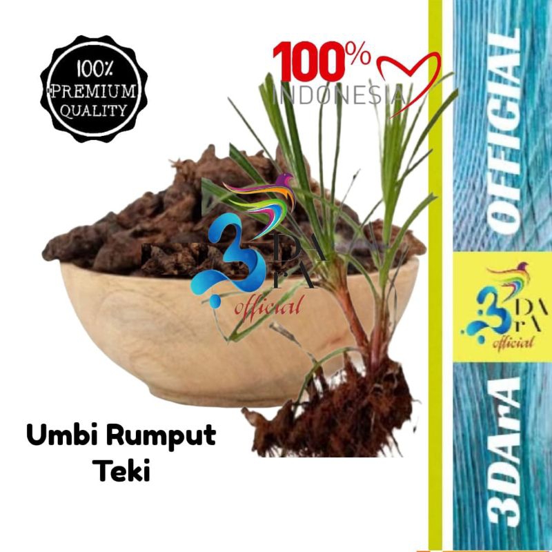 Jual Rumput Teki Kering - Umbi Teki - Umbi Suket Teki Original Murni ...