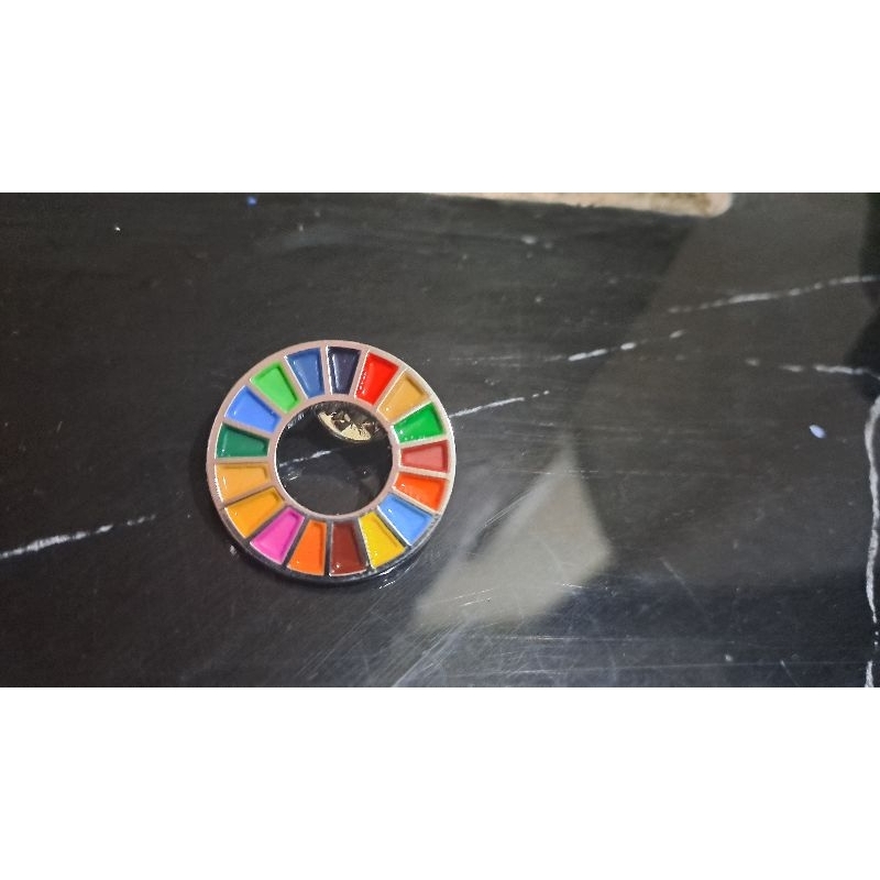 Jual pin sdgs /pin enamel/pin besi/pin custom/pin logam | Shopee Indonesia