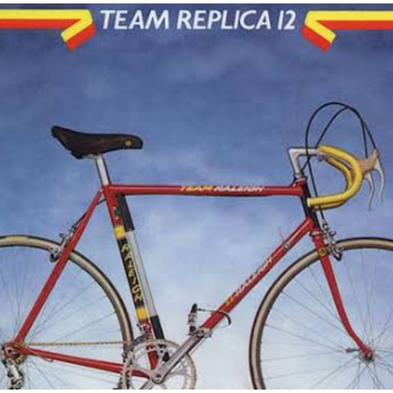 Jual decals replacement Raleigh team professional team replica ti ...