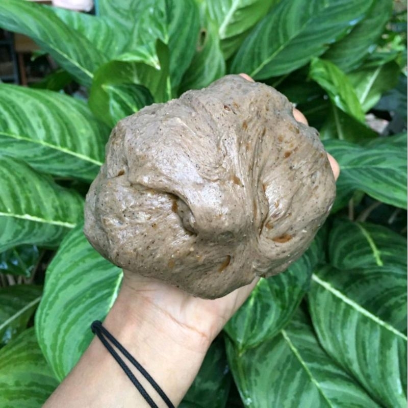 Jual Lem pulut burung super lengket 500gram/setengah kilo, anti zonk ...