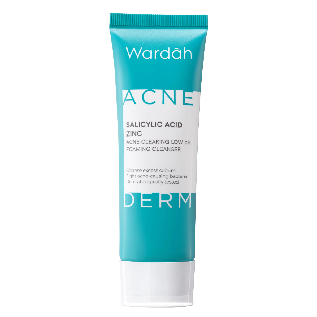 Jual WARDAH ACNEDERM PURE FOAM 50ML / wardah acne salicylic acid zinc ...