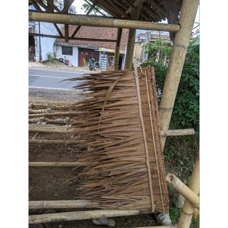 Jual ATAP DAUN RUMBIA ( 25 pcs ) | Shopee Indonesia