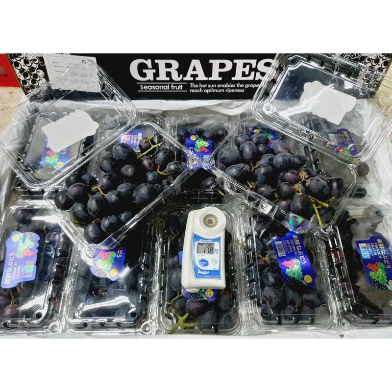 Jual Anggur Autum Royal Pack | Shopee Indonesia