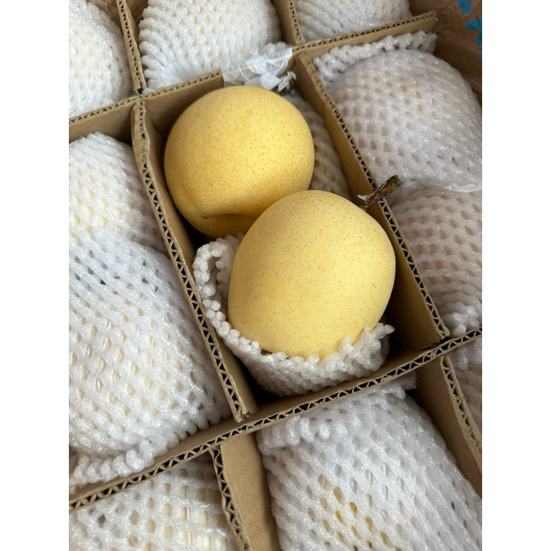 Jual Pir Century Segar 1kg | Shopee Indonesia