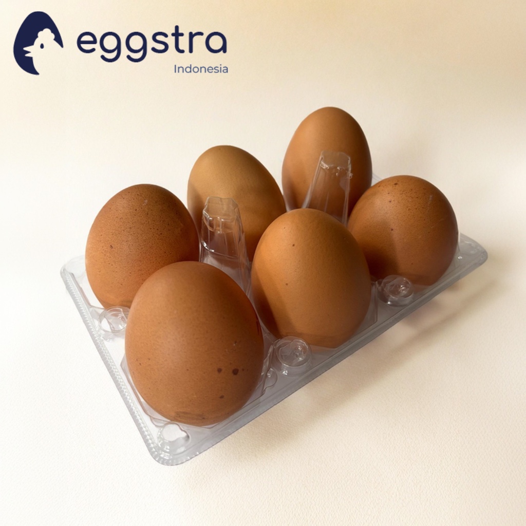 Jual Eggstra Telur Ayam Negeri 6 Butir | Shopee Indonesia