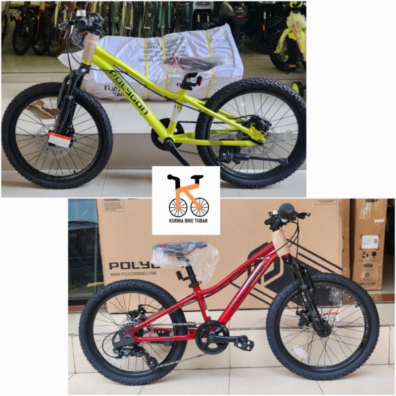 Jual Sepeda MTB 20 POLYGON RELIC 20 SEPEDA GUNUNG ANAK | Shopee Indonesia
