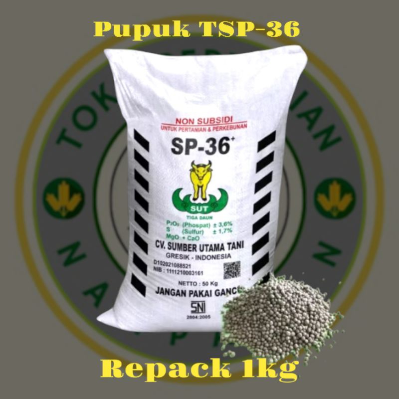 Jual Pupuk 1kg TSP / SP -36 Dapat Menyuburkan Jenis Tanaman | Shopee Indonesia