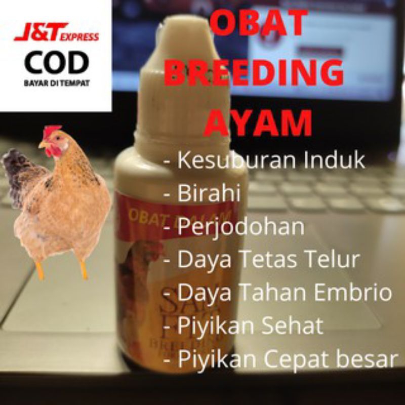 Jual Obat Ayam Cepat Bertelur Vitamin Anti Macet Nelur Untuk Ternak ...