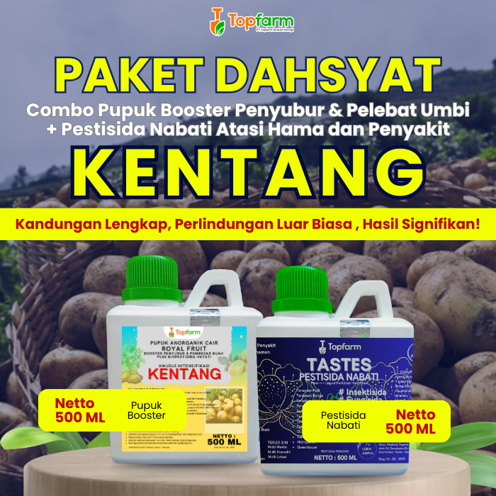 Jual Pupuk Pestisida Topfarm / Pupuk Pembesar Khusus Umbi Kentang / Pupuk Buah Khusus Kentang ...