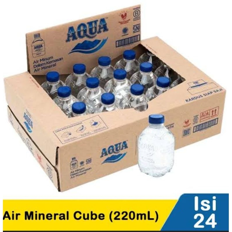 Jual AQUA CUBE CEBOL/AQUA BOTOL 220ML | Shopee Indonesia