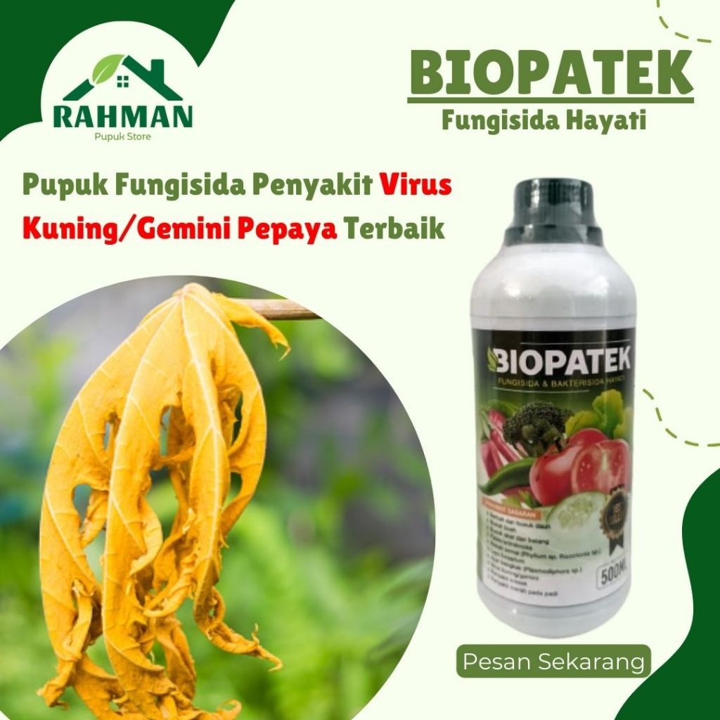 Jual Pupuk fungisida kuning daun pepaya ampuh -BIOPATEK- Obat semprot ...