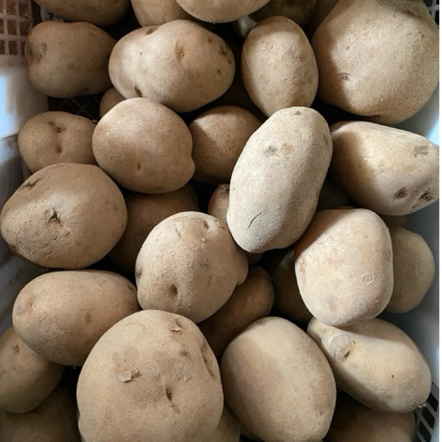 Jual Kentang 1kg | Shopee Indonesia