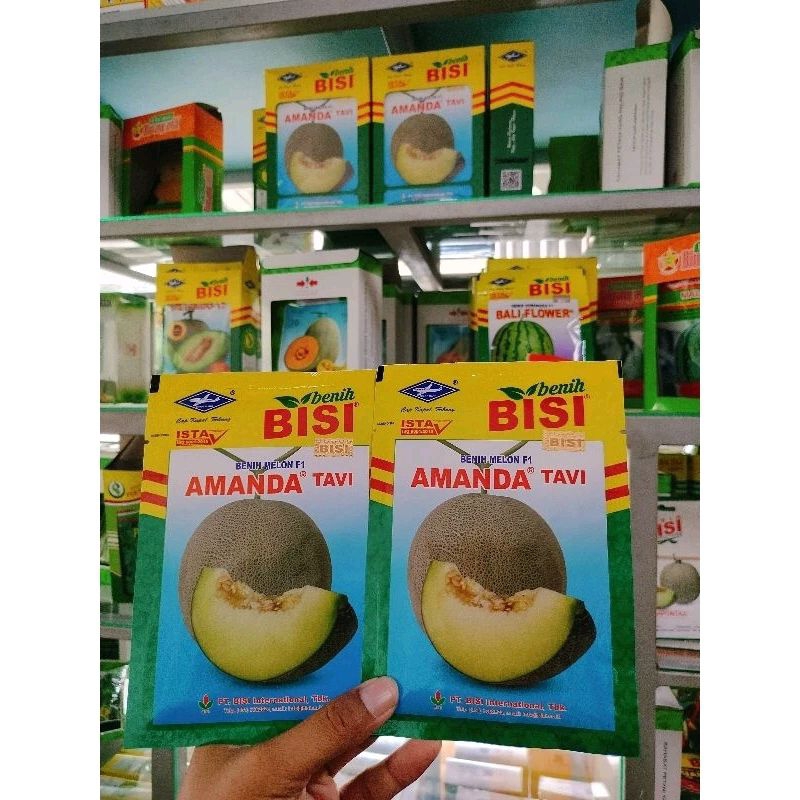 Jual Benih Melon Madu Jumbo Amanda Tavi F1 (Tahan Virus Perawatan Mudah ...