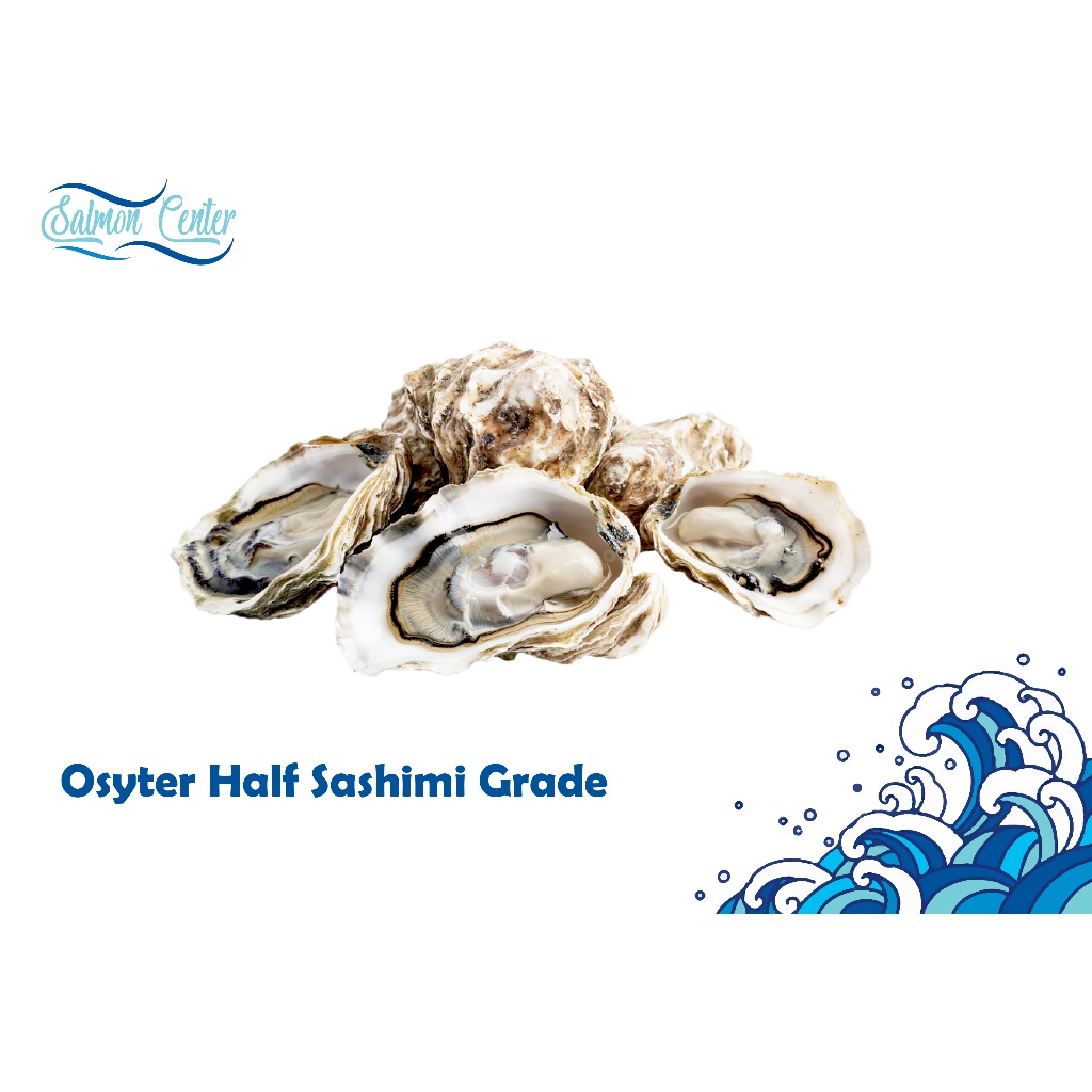 Jual Oyster Half Shell | Frozen (belah) | Shopee Indonesia