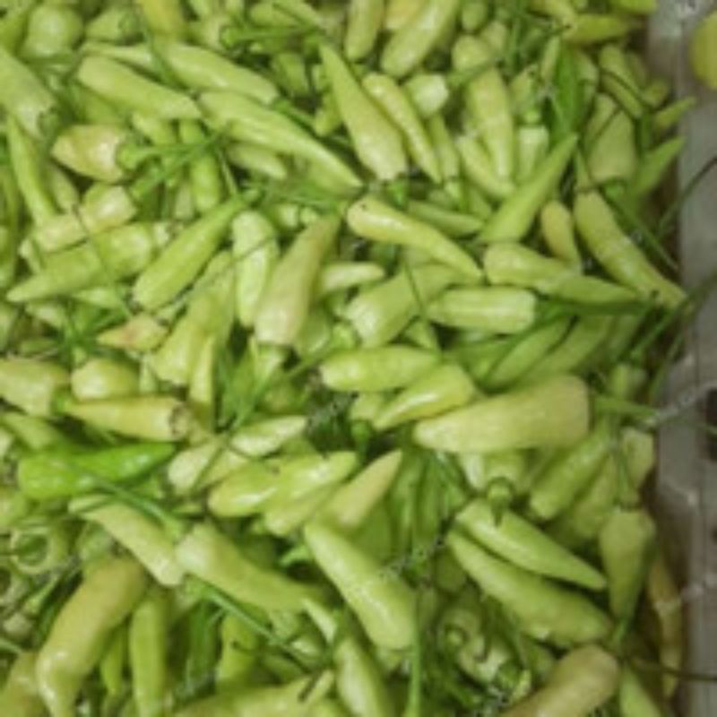 Jual CABAI RAWIT HIJAU MUDA KEMASAN 1 KG | Shopee Indonesia