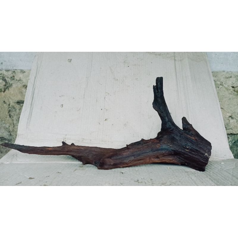 Jual kayu rentek panjang 40 cm Random | Shopee Indonesia