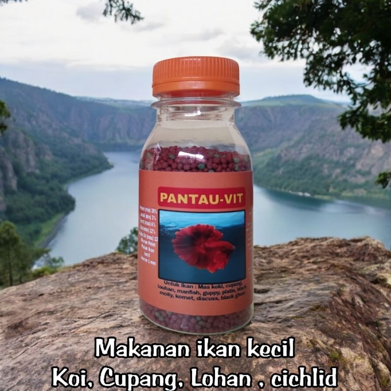 Jual Makanan ikan hias kecil Cupang, lohan , koi ukuran pelet 1mm ...