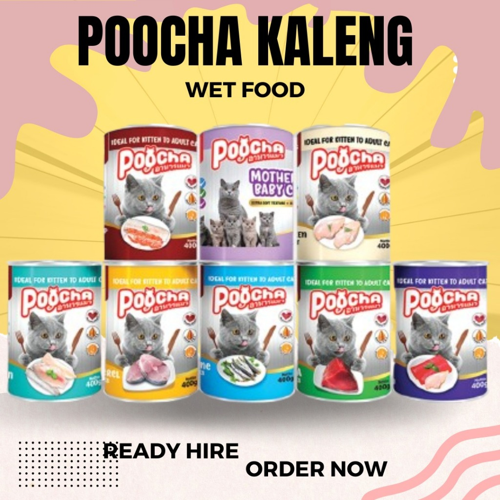 Jual POOCHA KALENG 400gr BISA INSTAN | Shopee Indonesia