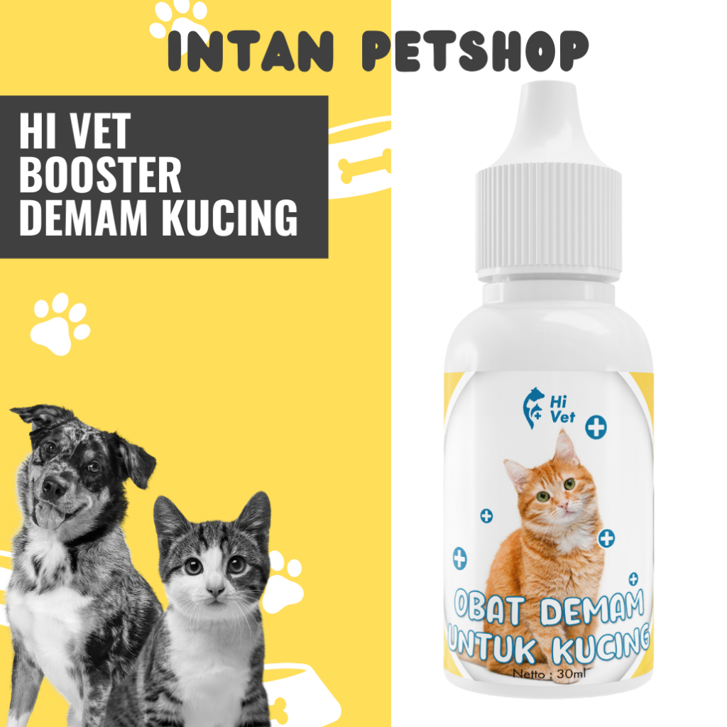 Jual Hi Vet Cat Booster 10 ml - Vitamin untuk Kucing - Multivitamin ...