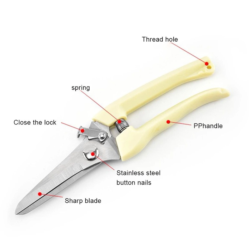 Jual GUNTING DAHAN MODEL LURUS GUNTING TANAMAN Model LURUS / PANGKAS ...