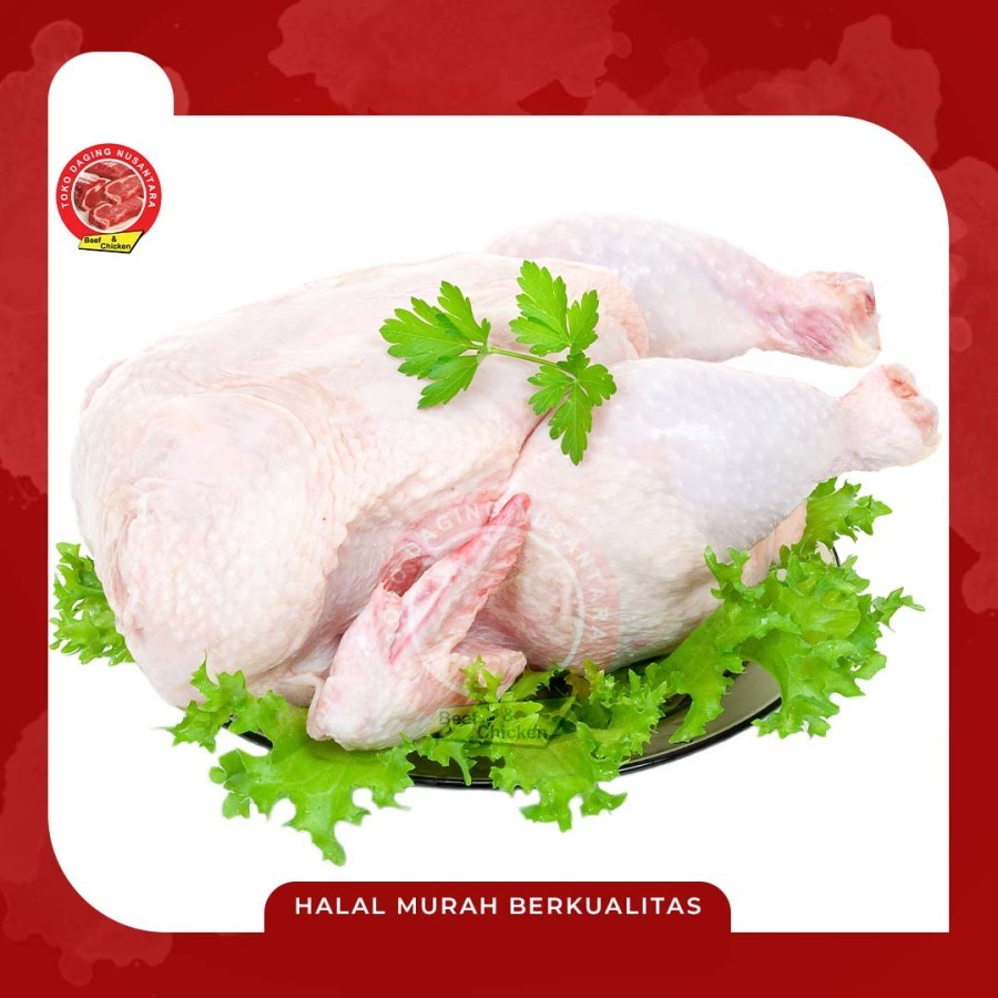 Jual Ayam Broiler Frozen | Shopee Indonesia