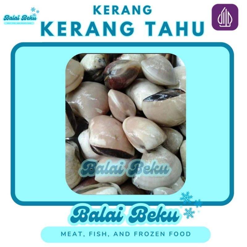 Jual Kerang Tahu / Kerang Frozen / Seafood | Shopee Indonesia
