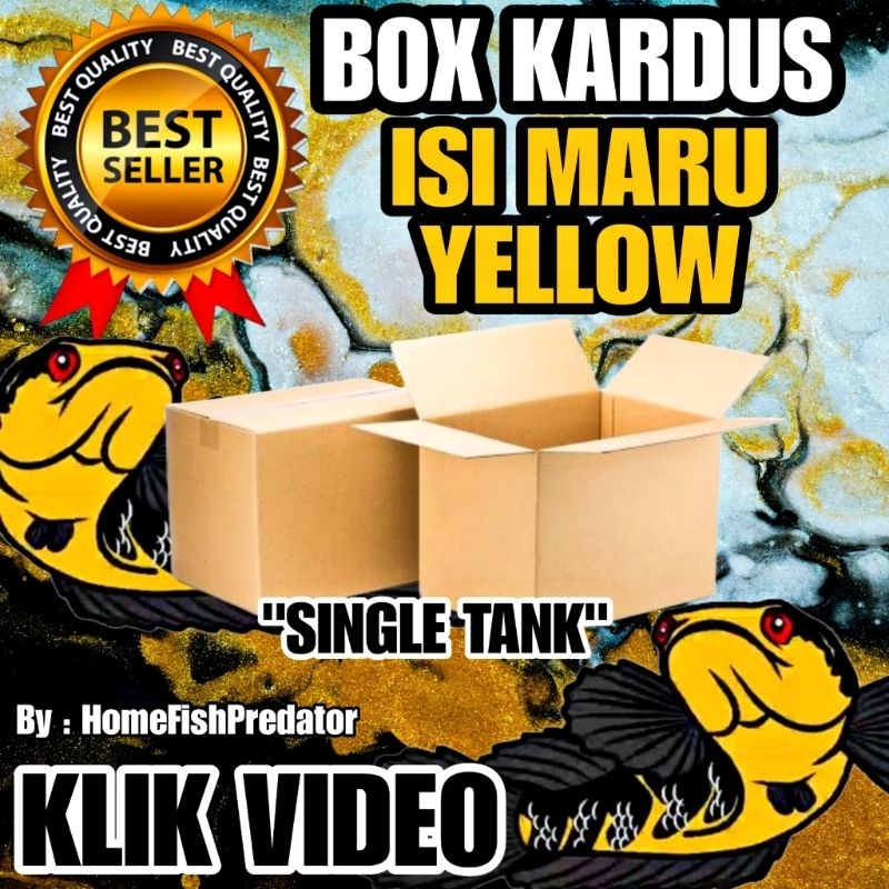 Jual BOX 37 "exstrak ketapang' YS -+12cm simet 6/6 | Shopee Indonesia