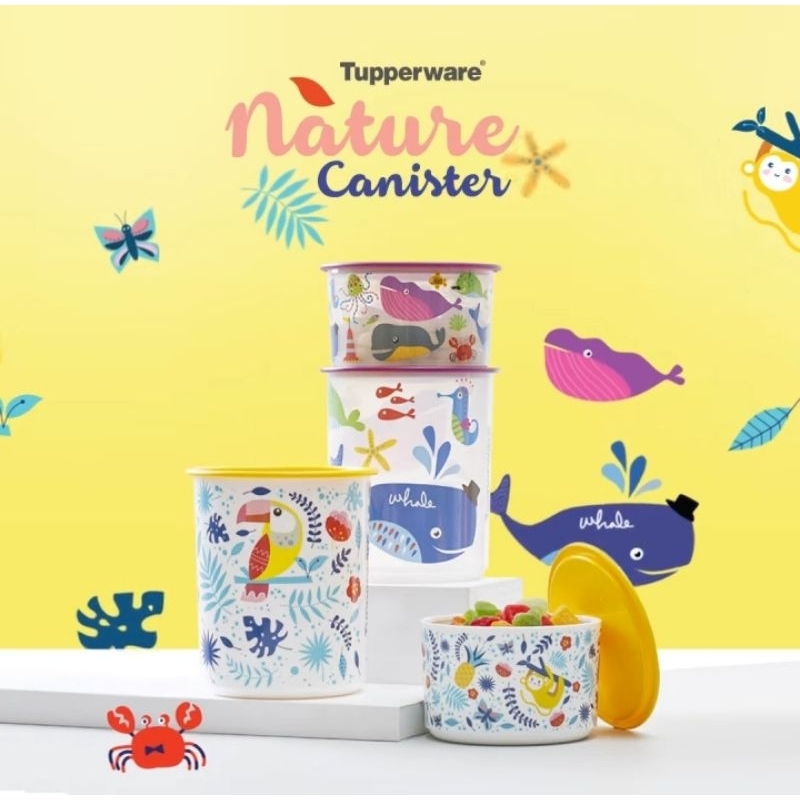 Jual Nature Canister Tupperware (4) | Shopee Indonesia