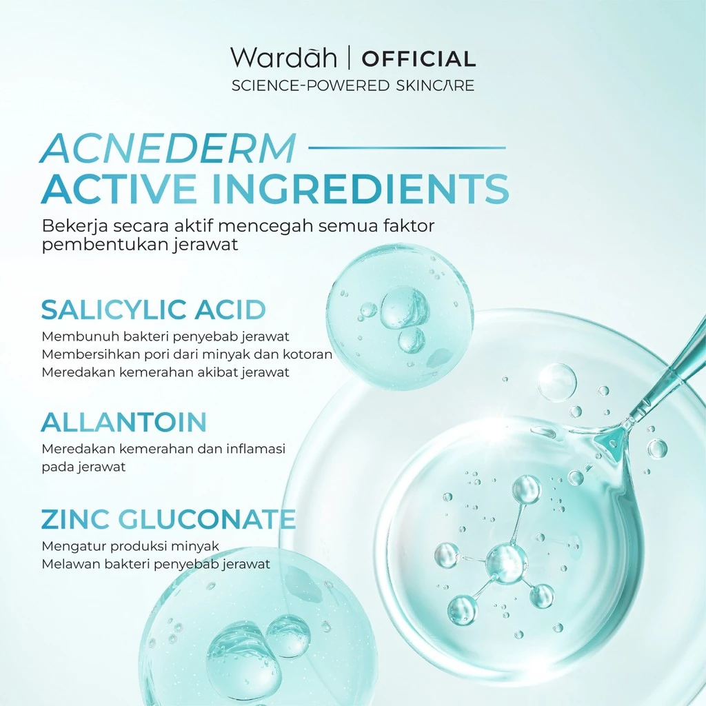 Jual Wardah Acnederm Salicylic Acid Zinc Acne Clearing Low pH Foaming ...