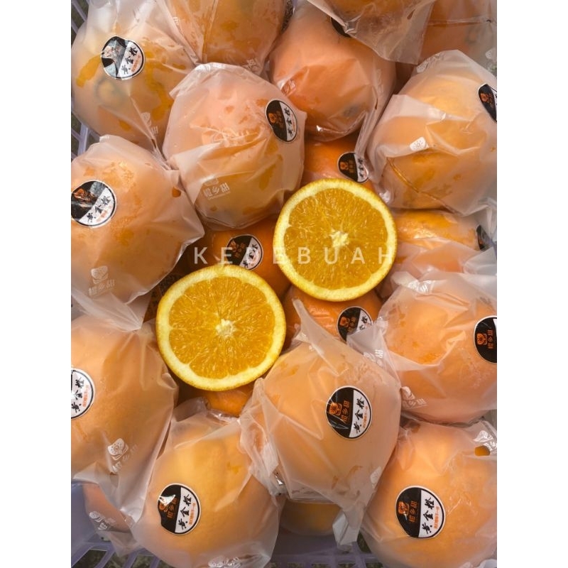 Jual Jeruk Navel Chinese | Shopee Indonesia