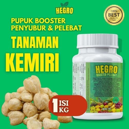 Jual Pupuk Boster Pelebat Tanaman Kemiri Penyubur Perangsang Akar Daun ...