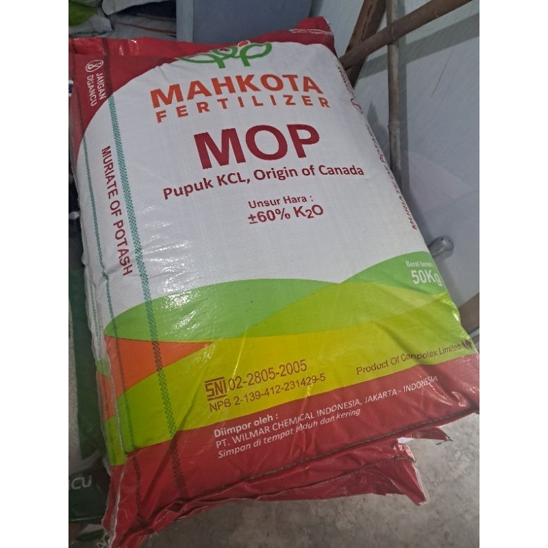 Jual PUPUK KCL MAHKOTA MOP 50KG. 25kg [REPACKING] K 60% | Shopee Indonesia