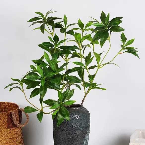 Jual Daun Ficus Artificial Latex Premium 1 Tangkai Tinggi 100 cm Ficus ...