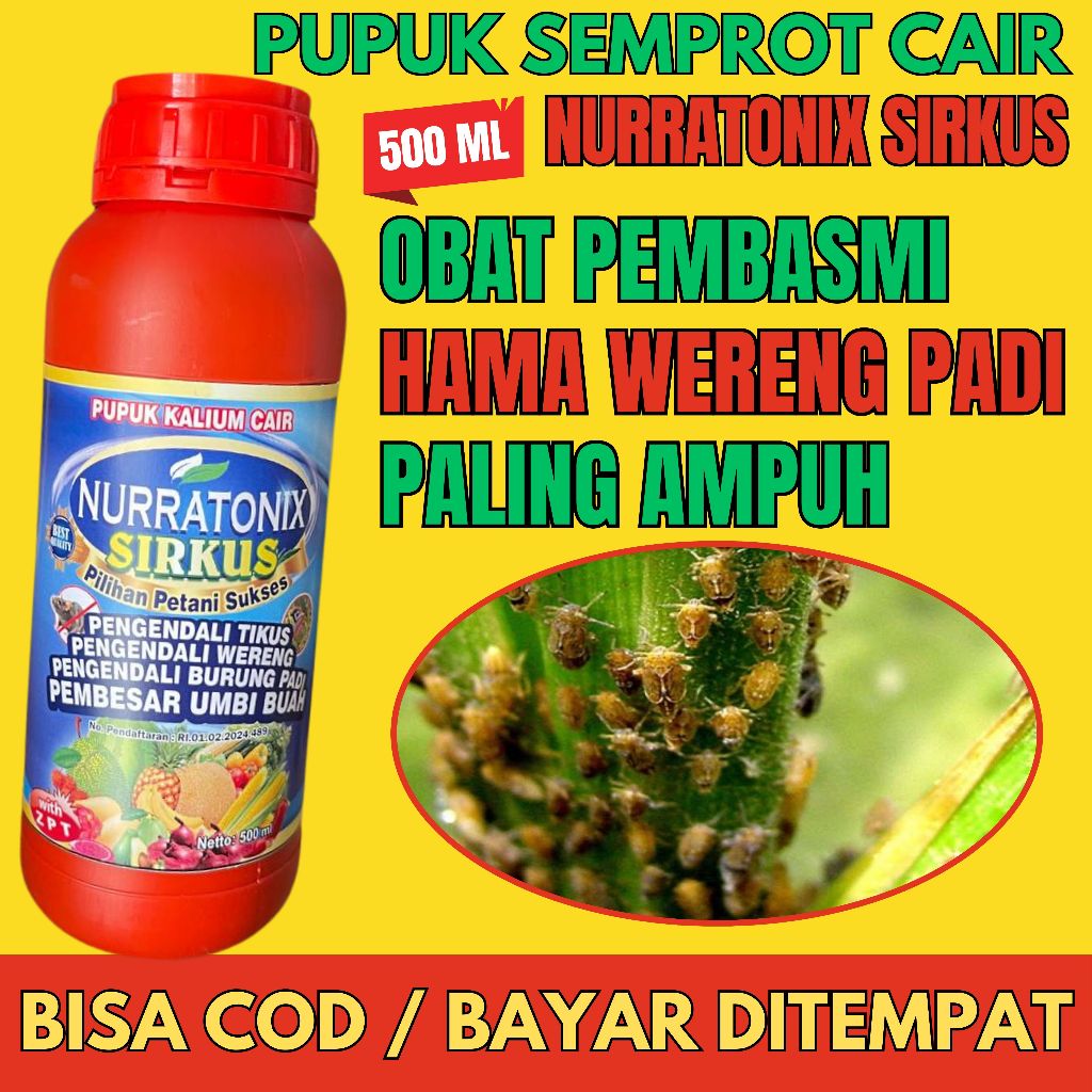 Jual Obat Pembasmi Hama Wereng Padi Paling Ampuh dan Bagus Tahan ...