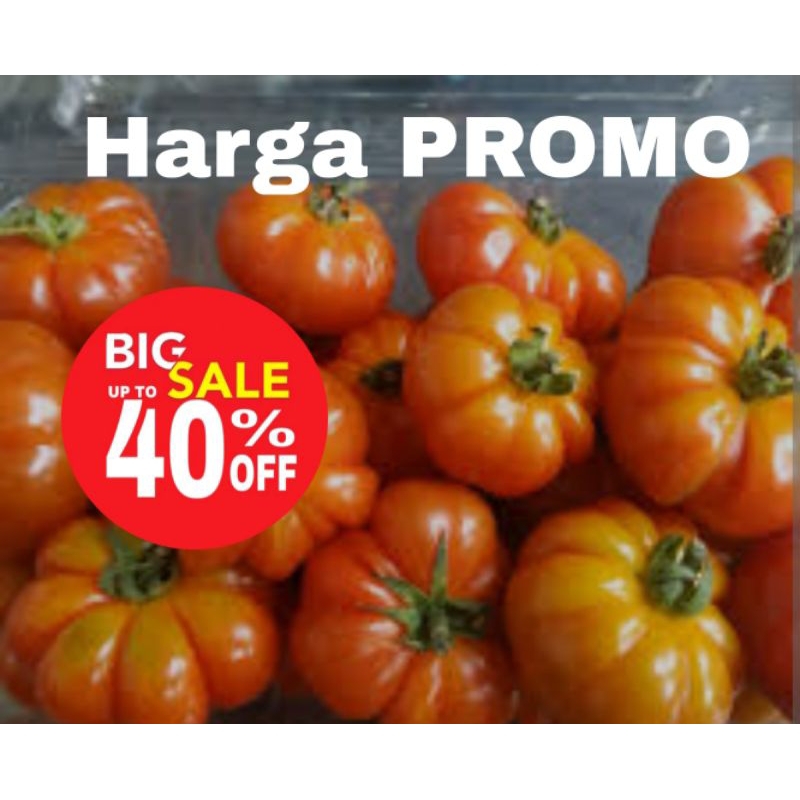 Jual TOMAT RANTI /TOMAT MAWAR /TOMAT SEGAR 1 kg langsung dr petani ...
