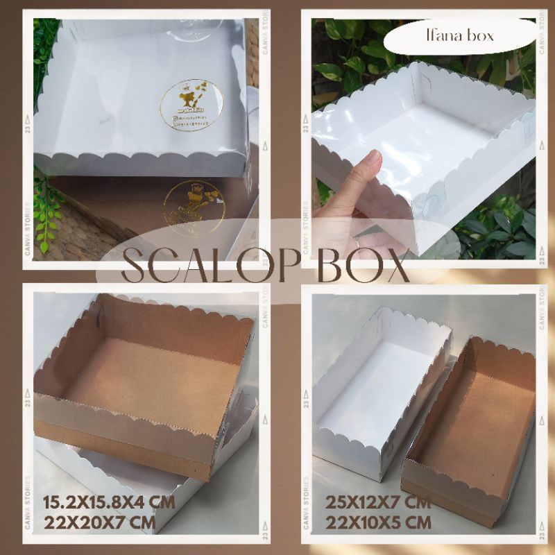 Jual SCALLOP BOX / MULTI PURPOSE BOX (MINIMAL ORDER 20PCS) | Shopee ...