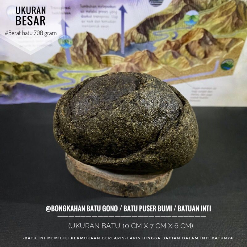 Jual Batu Gono Alam C14 atau Batu Puser Bumi atau Fosil Buah Purba atau ...