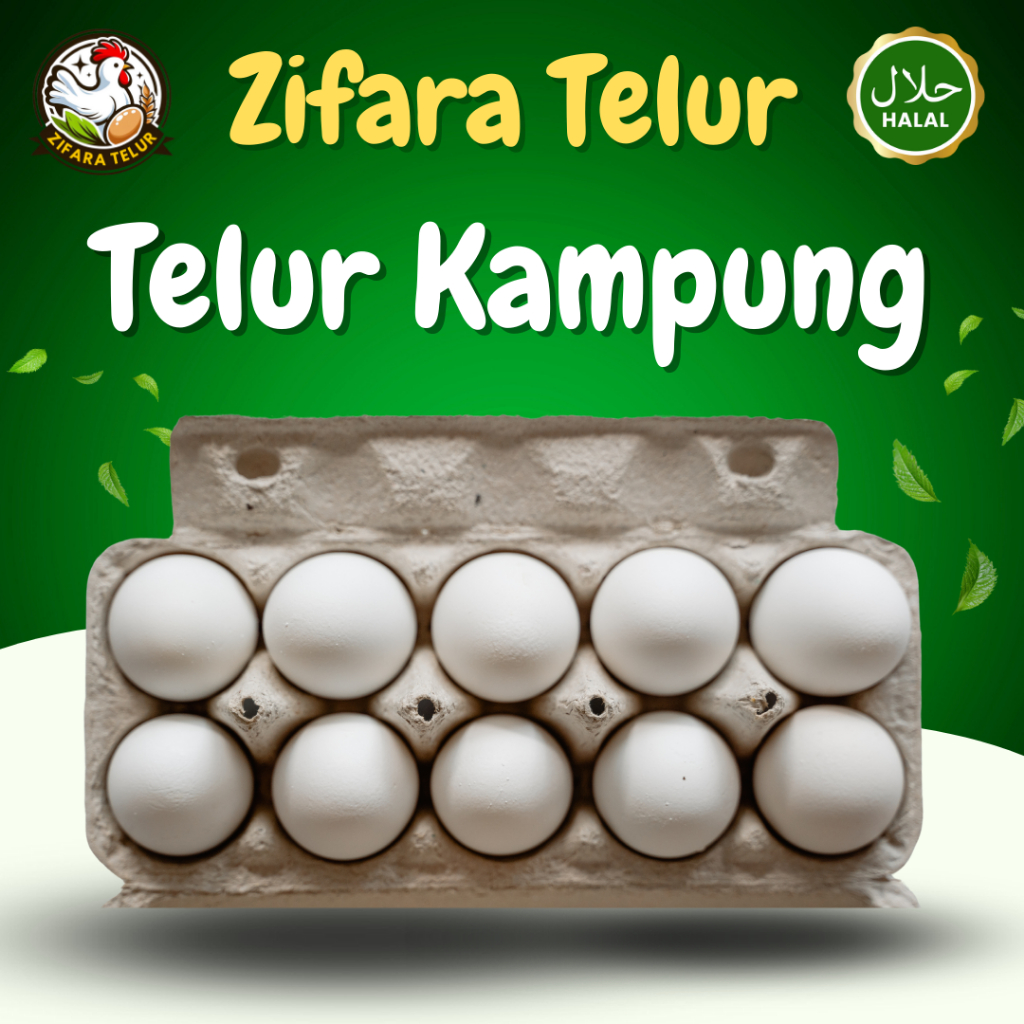 Jual Zifara Telur - 1 Butir Telur Ayam Kampung PREMIUM | Shopee Indonesia