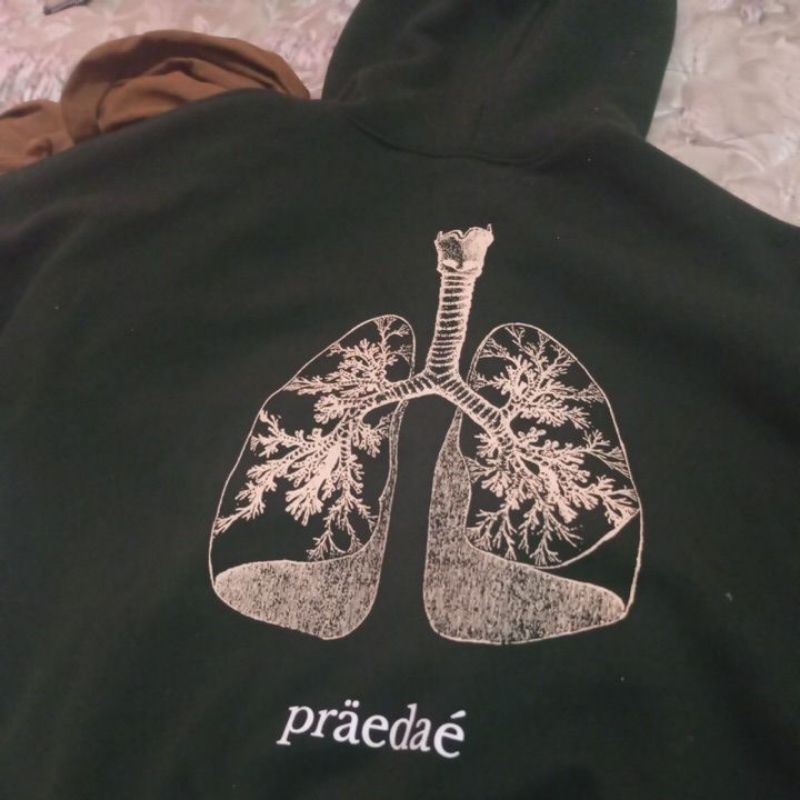 Jual praedae eternal sycamore | Shopee Indonesia