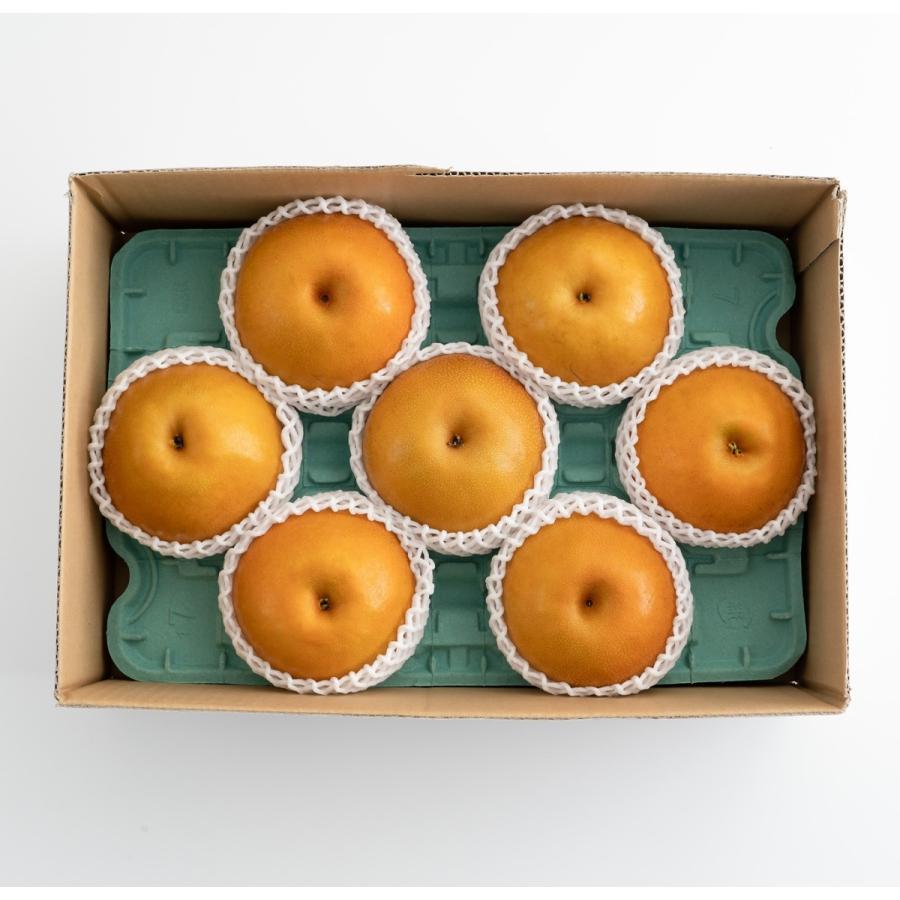 Jual Pear Nikkori Jepang (dus 5 kg) | Shopee Indonesia