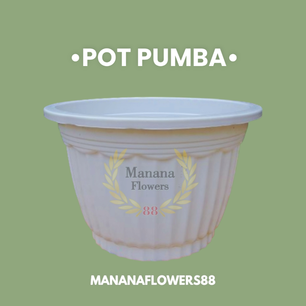 Jual POT WARNA 20 CARGO/ POT GANTUNG BAMBU/ POT BUNGA/ POT TANAMAN ...