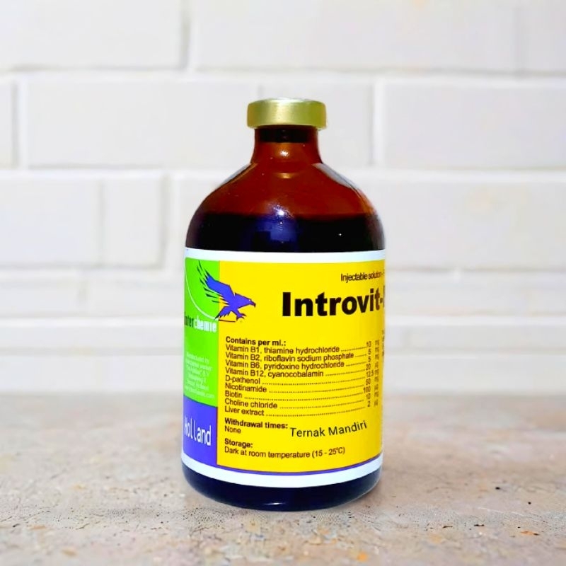 Jual Introvit B Complex 100ml Injeksi vitamin Pencegahan stres Sapi ...