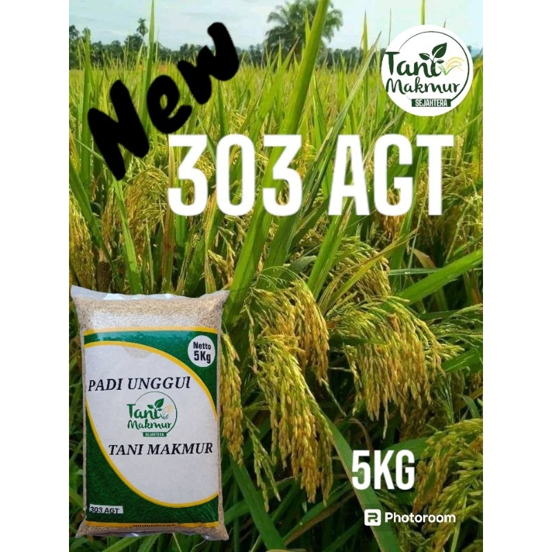 Jual Benih bibit padi 303 agt kemasan 5kg original produk TANI MAKMUR ...