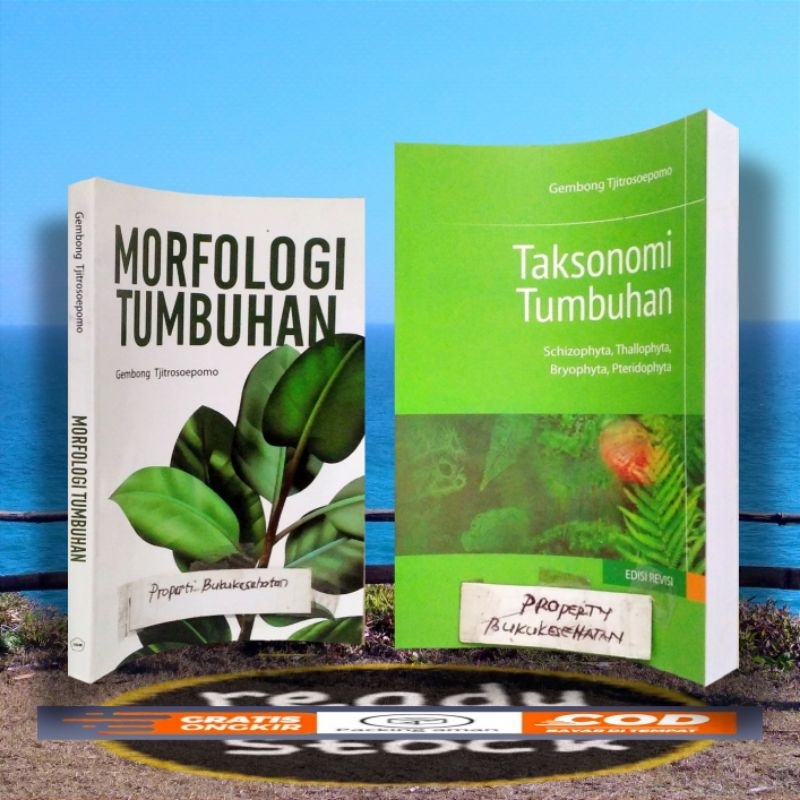 Jual Buku MORFOLOGI TUMBUHAN ( 2020 ) DAN TAKSONOMI TUMBUHAN 2023 ...