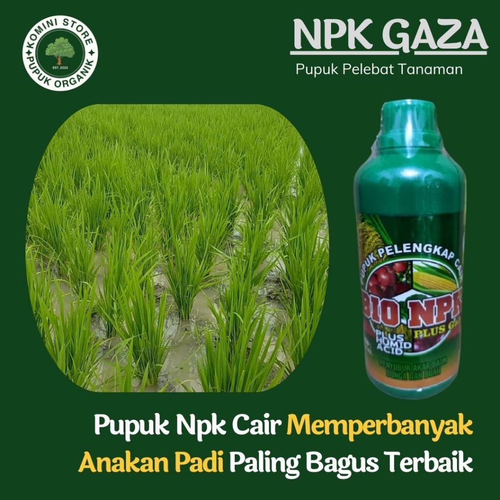 Jual Pupuk Yang Bagus Untuk Melebatkan Anakan Padi - NPK GAZA - Obat booster menyuburkan tanaman ...