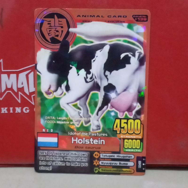 Jual Kartu Animal Kaiser card Holstein | Shopee Indonesia