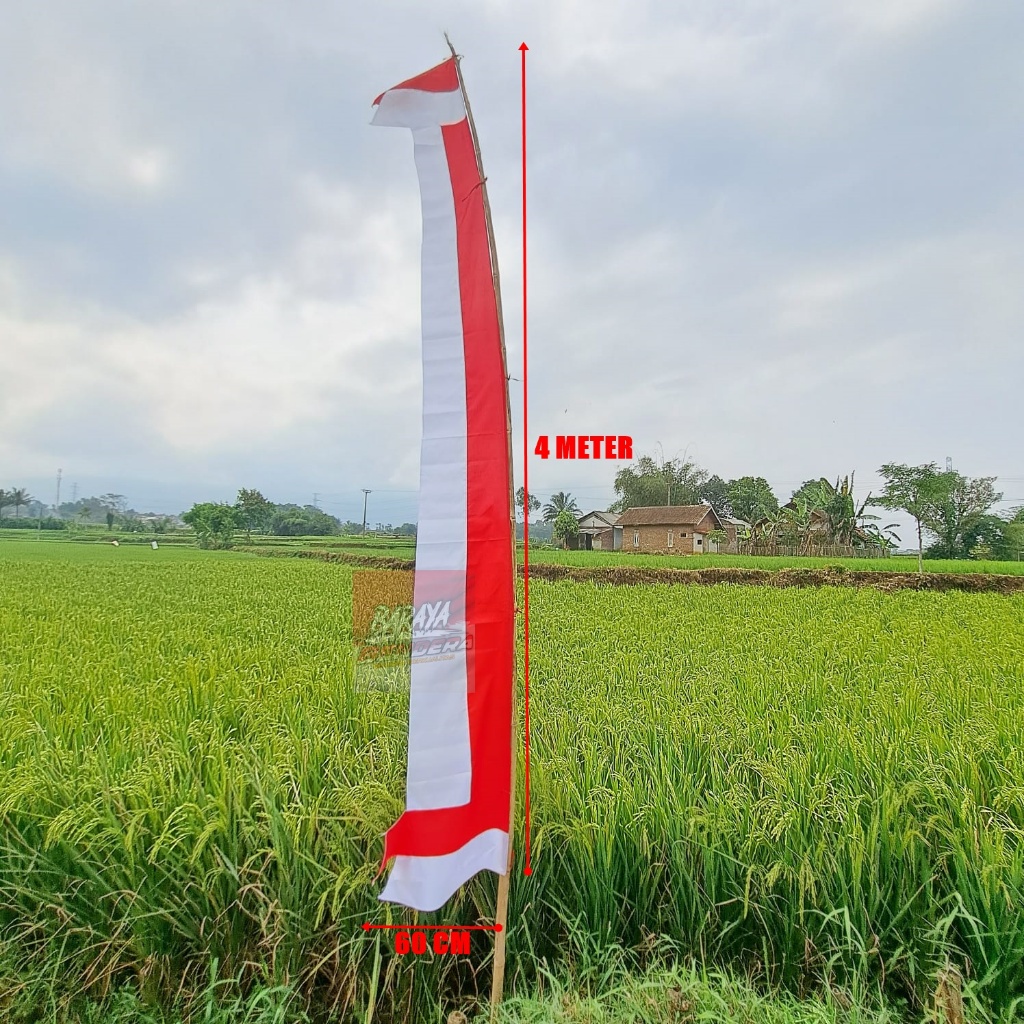 Jual BENDERA UMBUL - UMBUL LAYUR POLOS MERAH PUTIH 4 METER | Shopee Indonesia