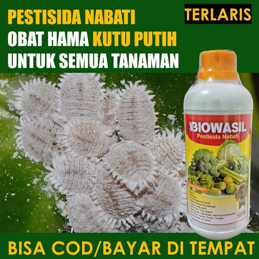 Jual BIOWASIL 500 ML - Insektisida Obat Hama Kutu Putih Tanaman ...